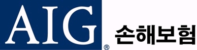 AIG손보 새로운 CI `선`